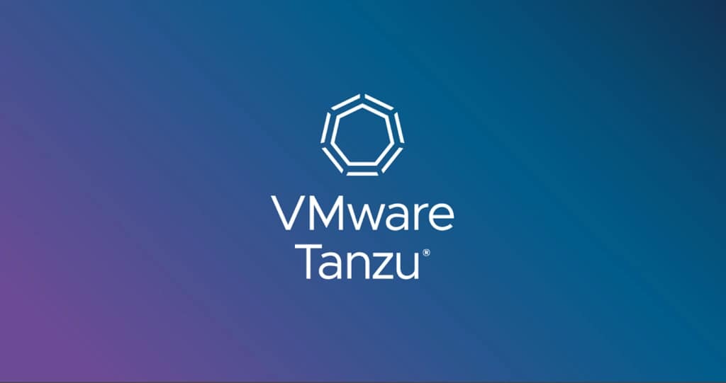 VMware Tanzu AI - EverVolve